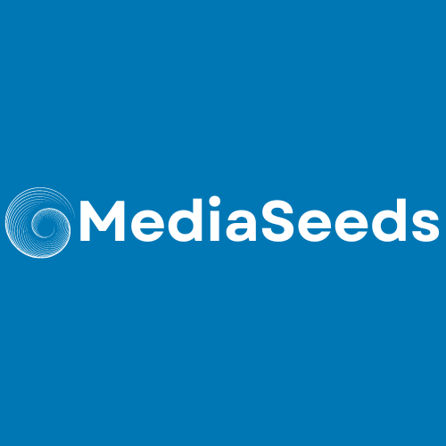 Media Seeds - Expert Web Design Services