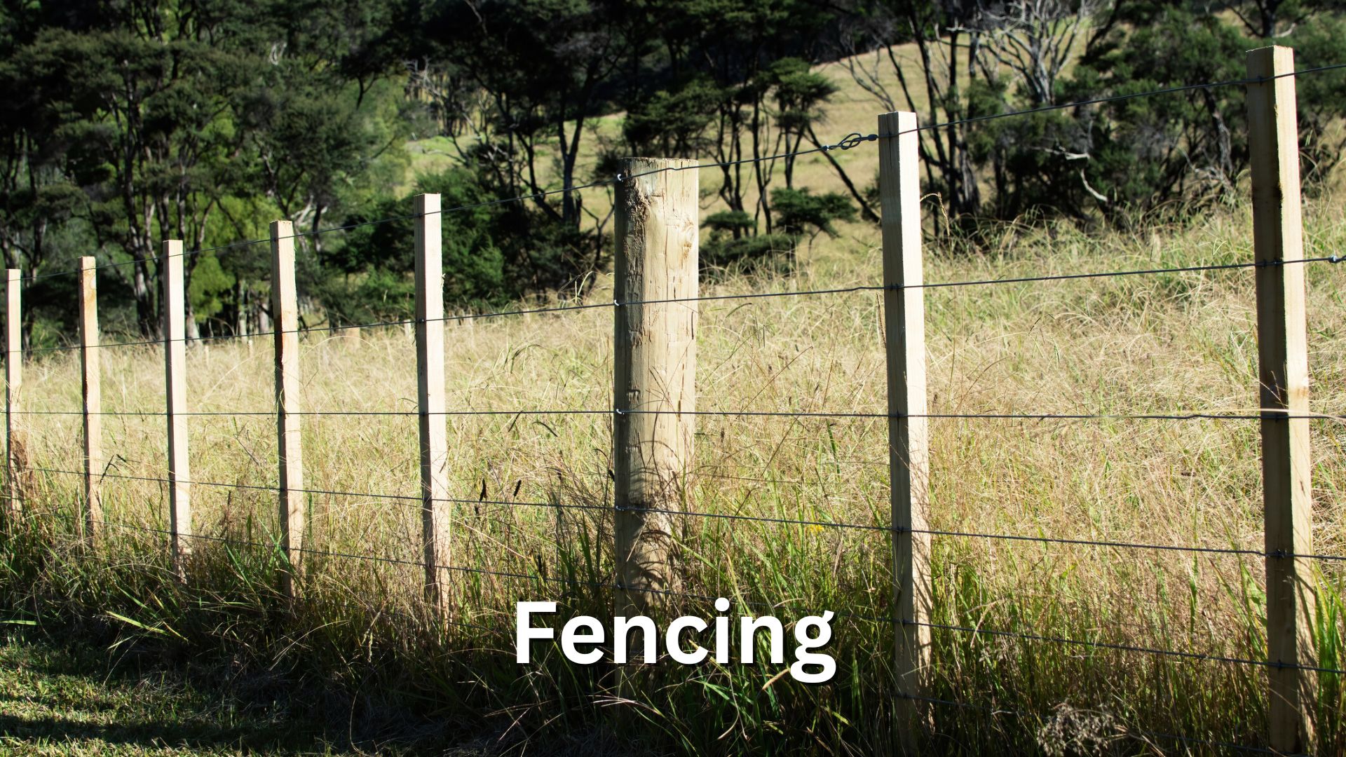 Fencing for Lifestyle Blocks in New Zealand