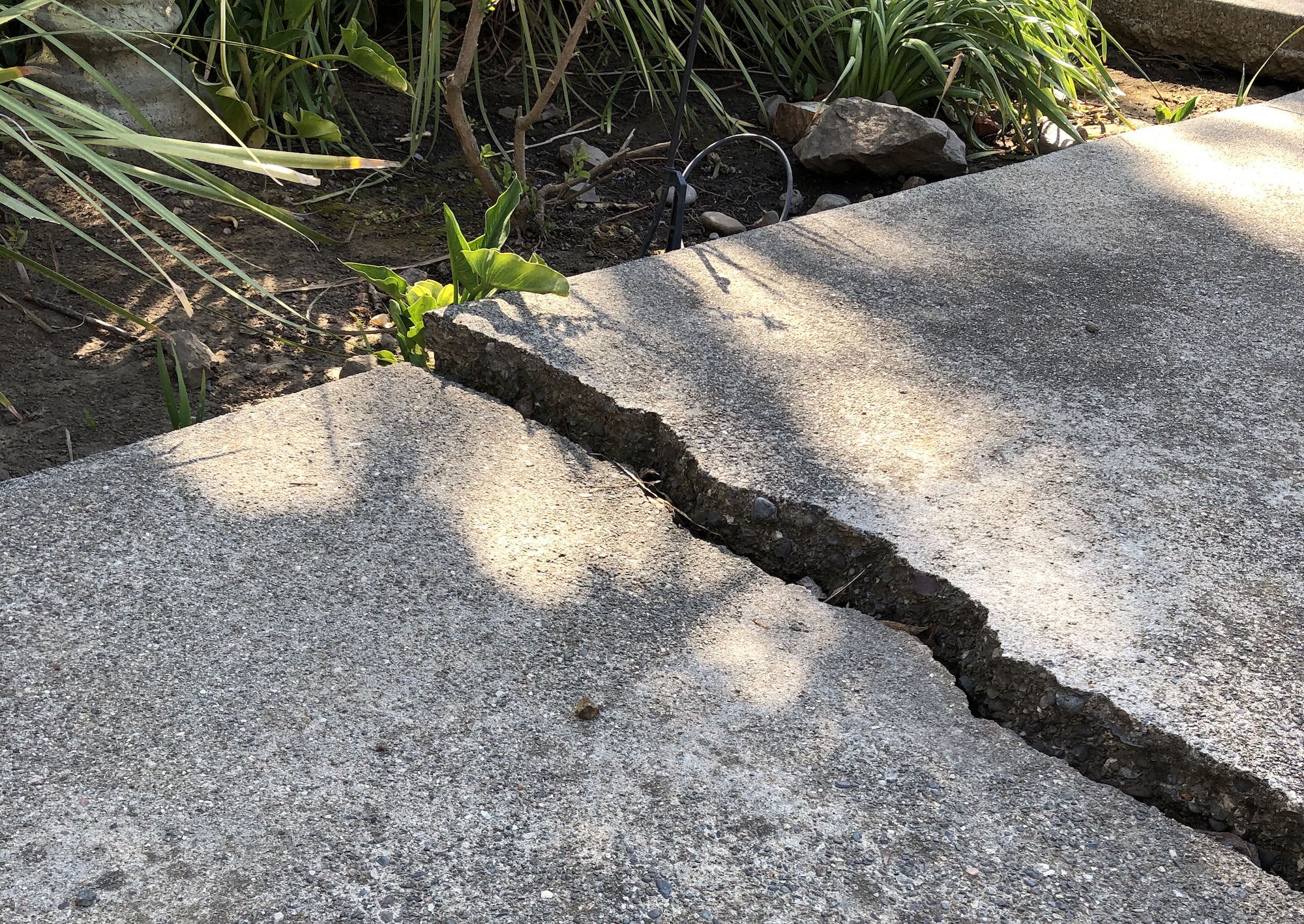when your floors have become noticeably uneven the slab can be effected ...