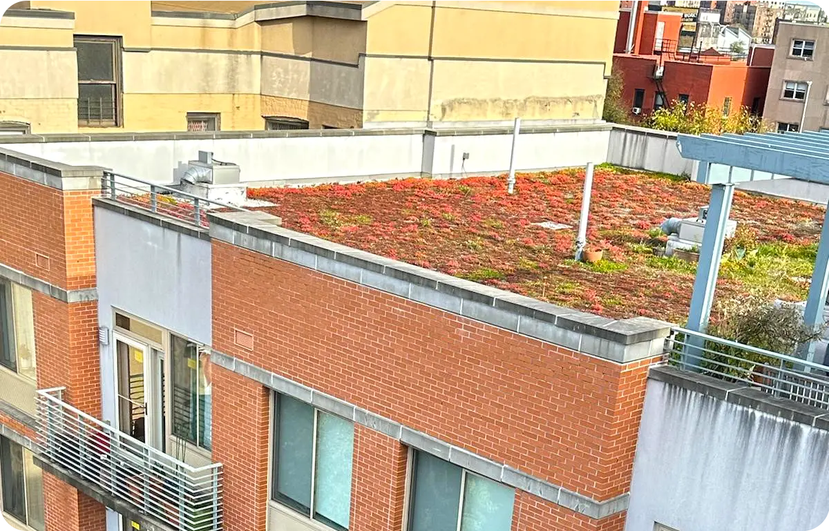 Act Fast: Secure Your Property’s Compliance with Expert Parapet ...