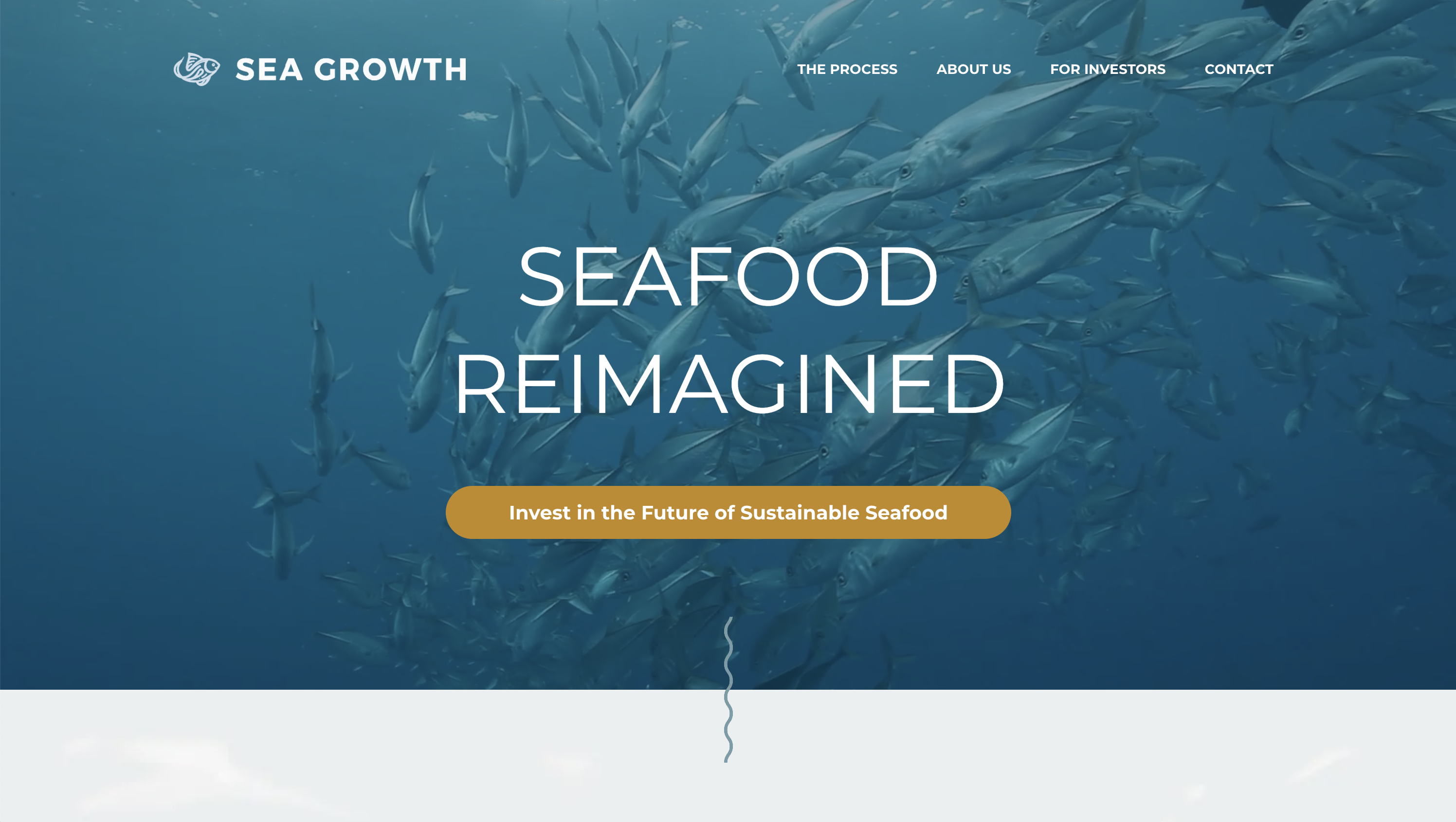 SEA Growth | Seafood Reimagined