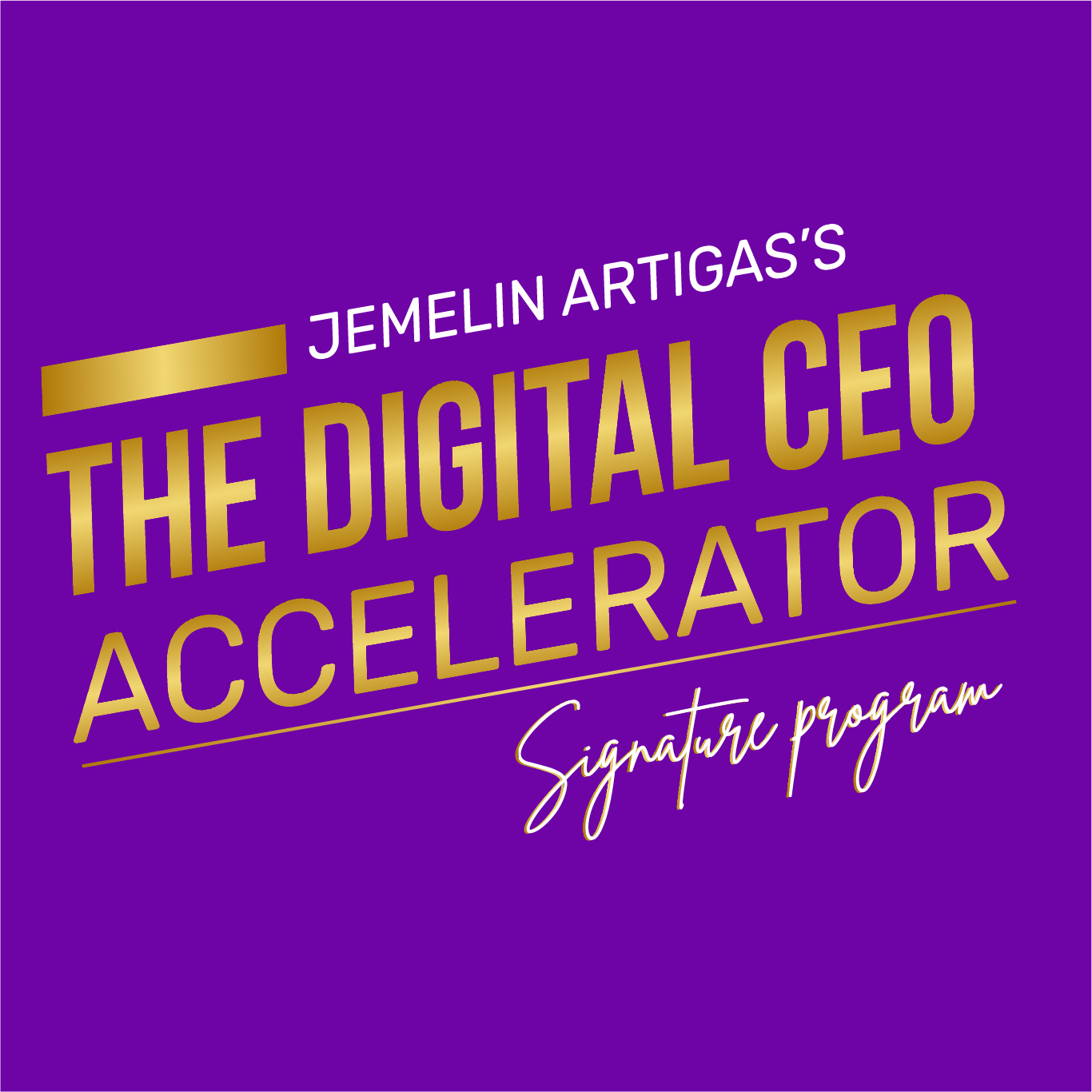 The Digital CEO Accelerator