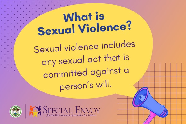 What is Sexual Violence?