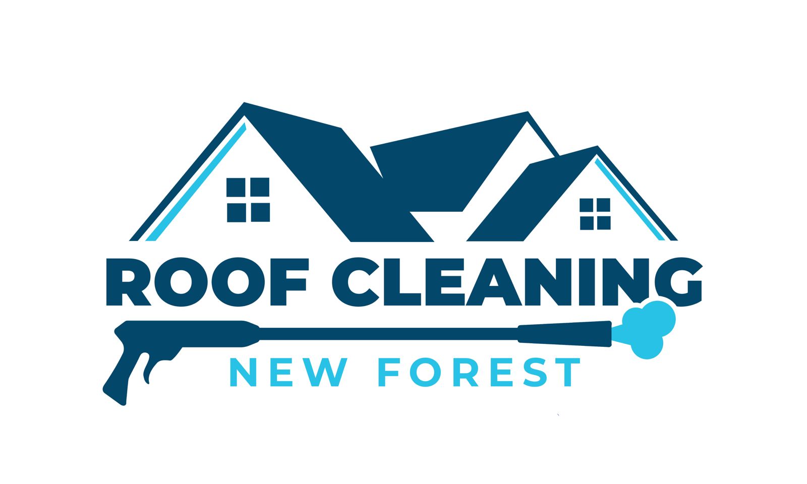Best New Forest Roof Cleaning Specialists