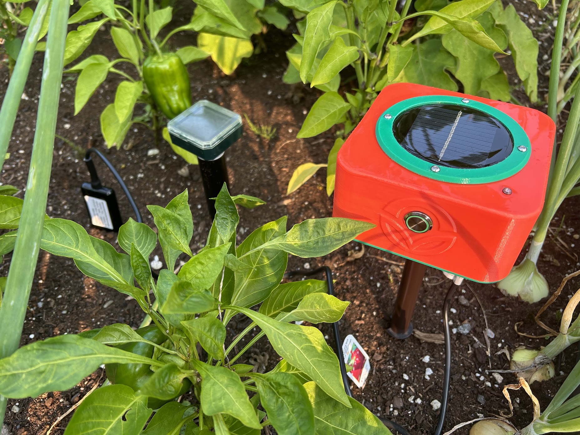 Growing smarter, growing together.