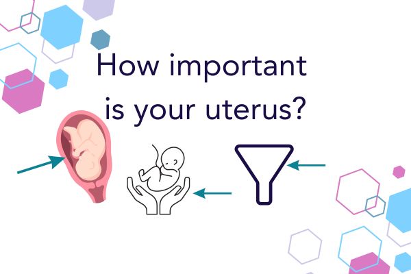 The power of the uterus in pregnancy and birth - the uterus' role in labour