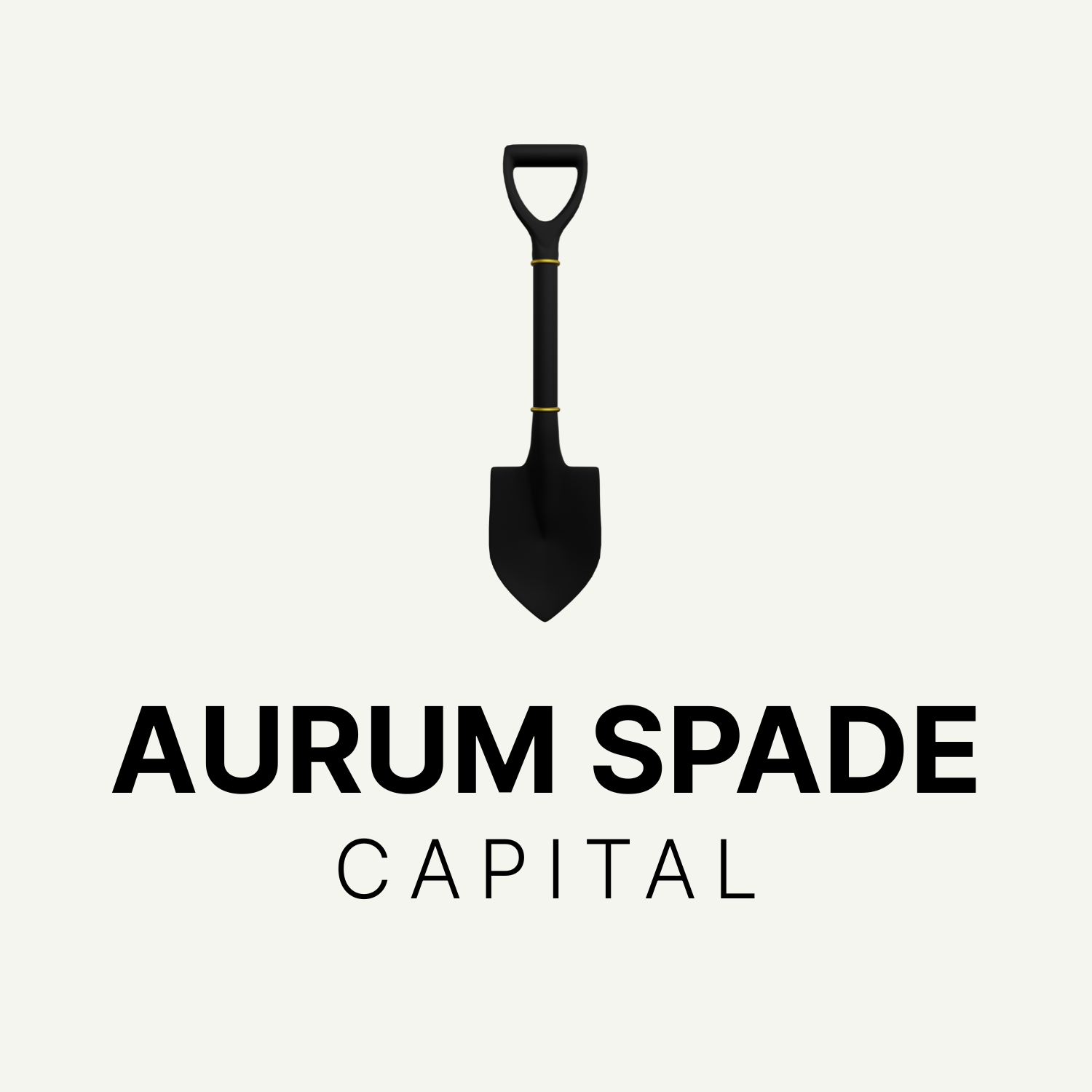 Aurum Spade Capital™ | Transparent Trade Mirroring Strategy