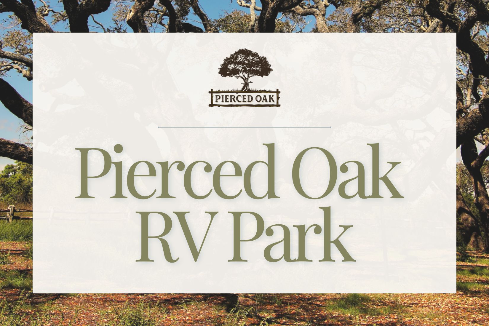 Pierced Oak RV Park | Canyon Lake, TX | Modern RV Camping