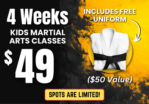 Go No Sen Karate Special Offer