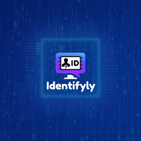 Identifyly | BLOG AI Made Easy