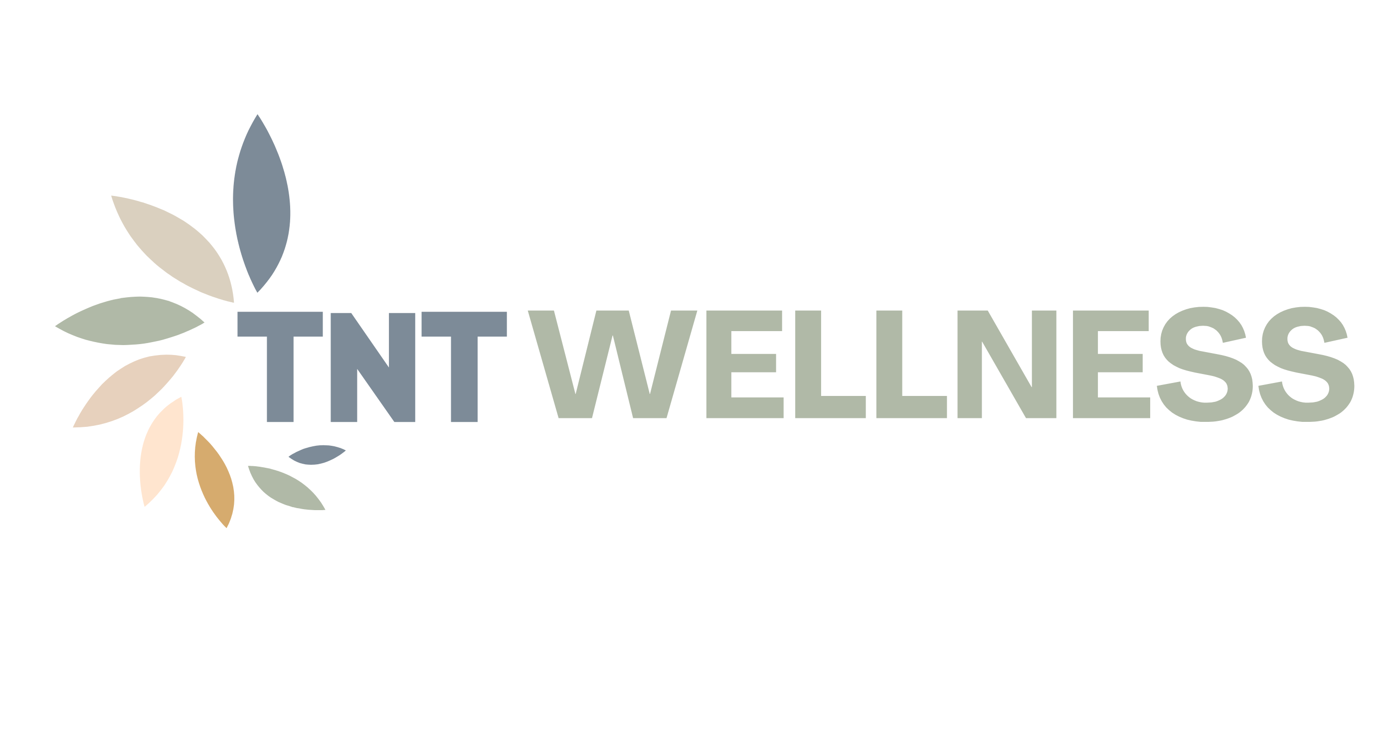 Home [www.tnt-wellness.com]