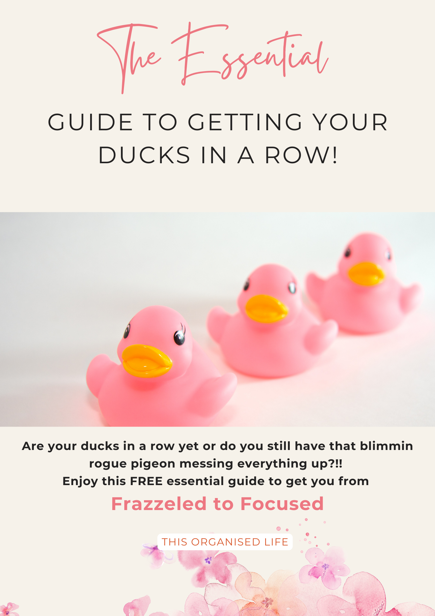 Essential Guide to Getting your Ducks in a Row