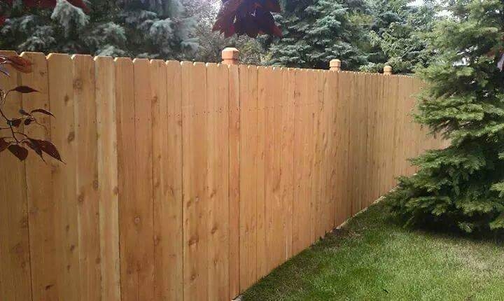 Top Notch Fence