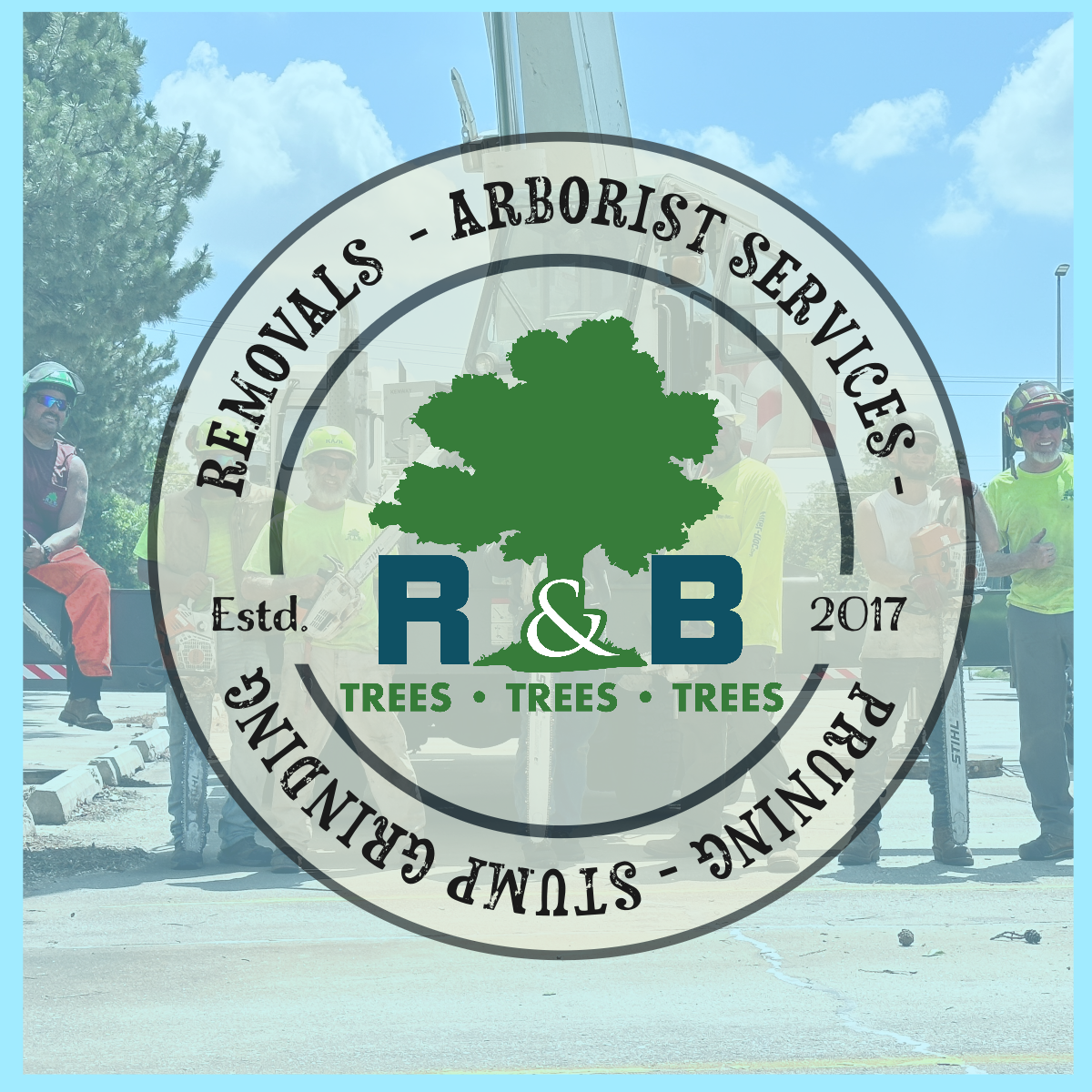 OKC's #1 Tree Service
