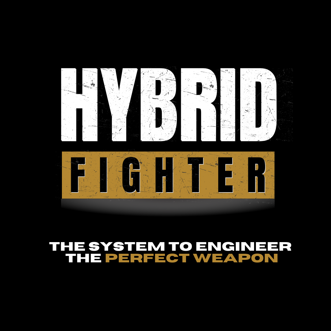 Hybrid Fighter Training System