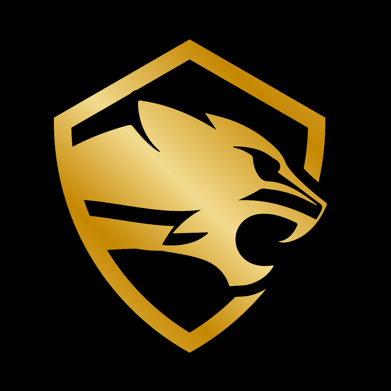 Cheetah Secuirty | Home