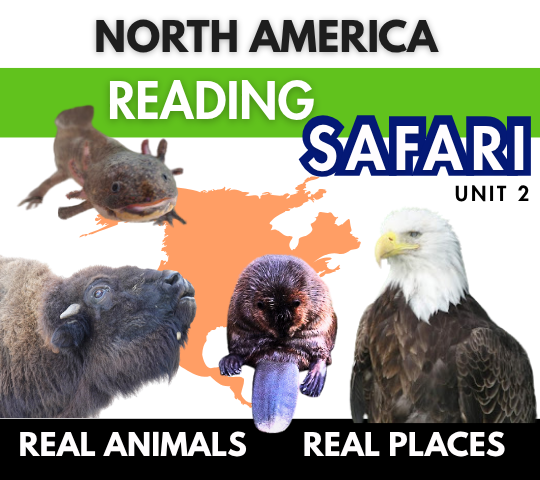 North America Reading Safari