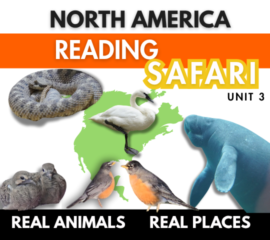 North America Reading Safari