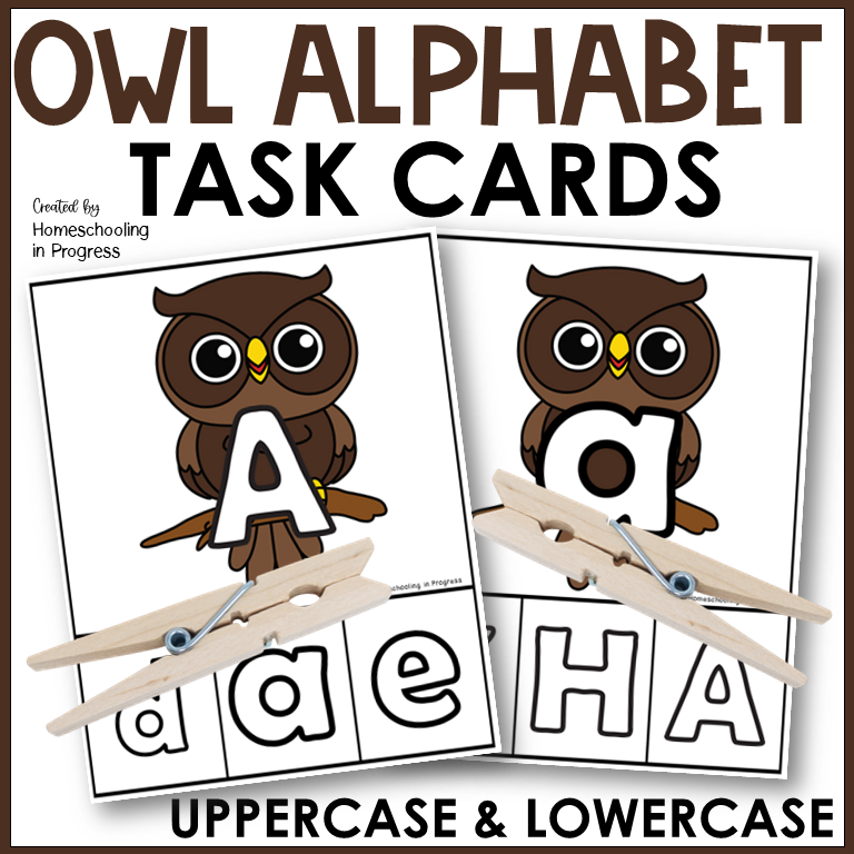Owl Alphabet Task Cards