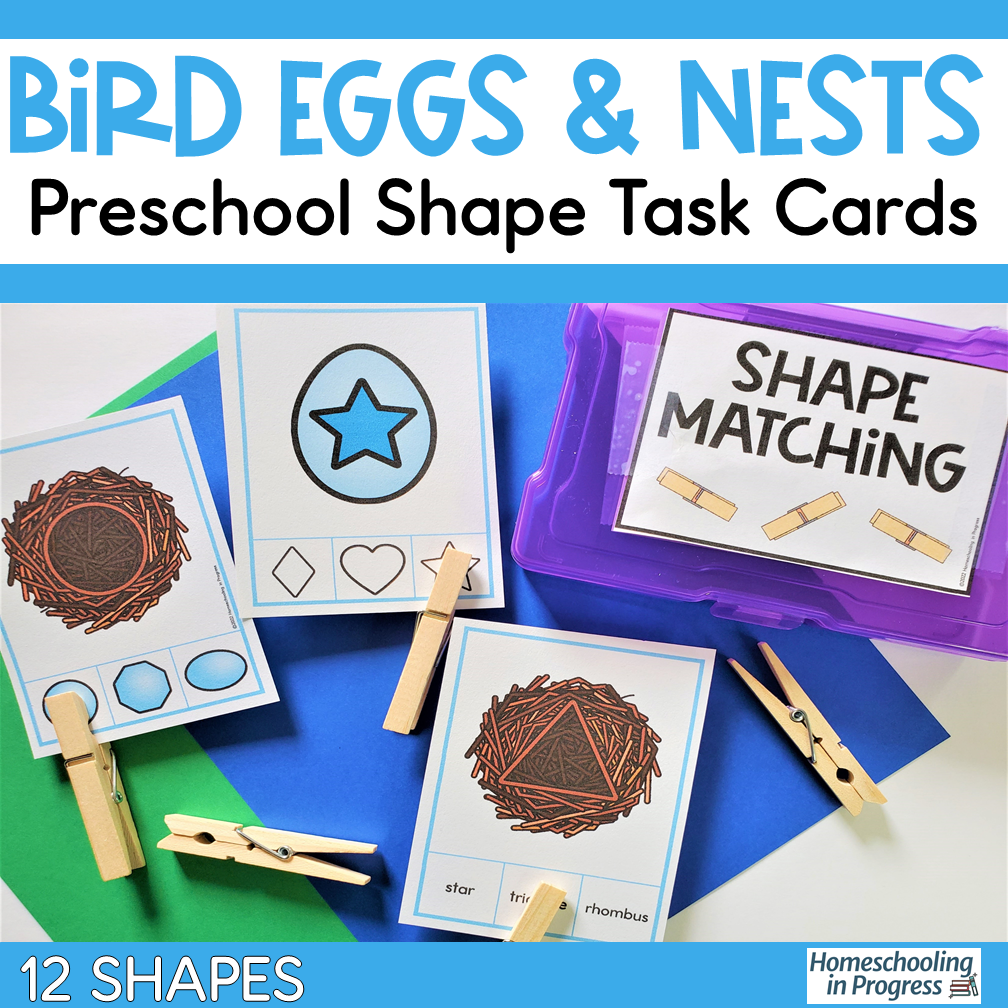 Backyard Bird 2D Shape Task Cards