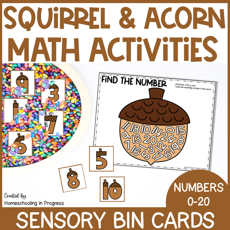 Fall Squirrel Acorn Sensory Bin Counting Activities for Preschool