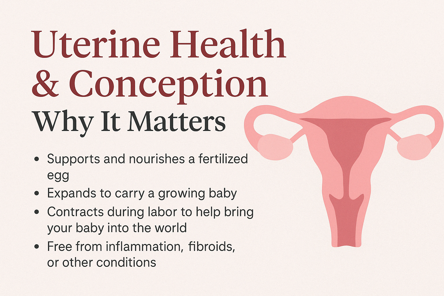 Uterine Health & Conception: Why It Matters