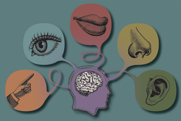 Auditory–Visual Misalignment: A Theoretical Perspective on Vocabulary ...