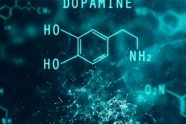 Dopamine Function and Schizophrenia