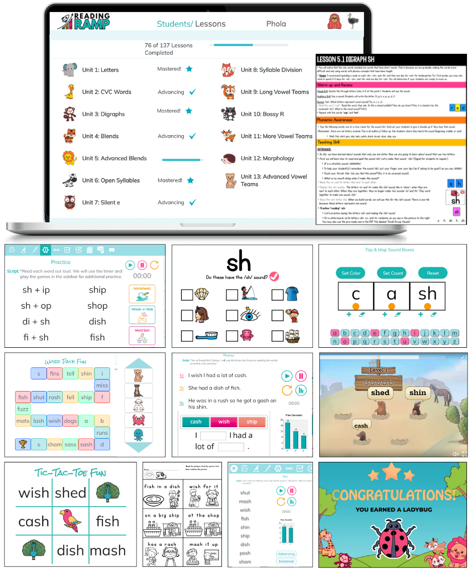Online Reading Curriculum for Tutors and Parents