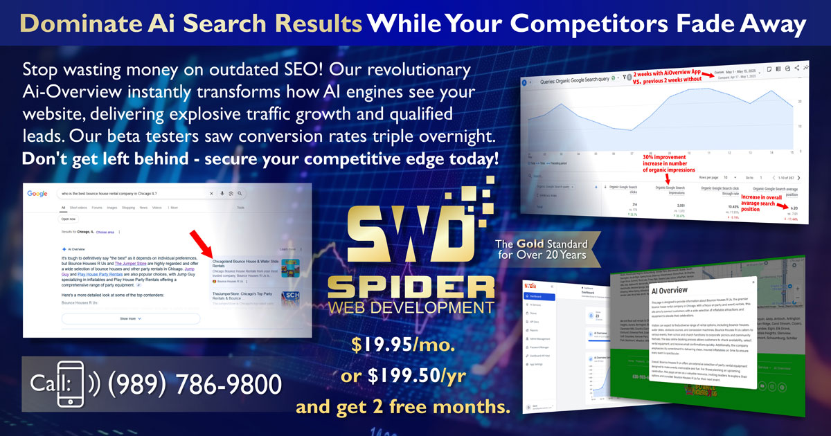 Ai Overview Application | Spider Web Development, Gaylord MI.