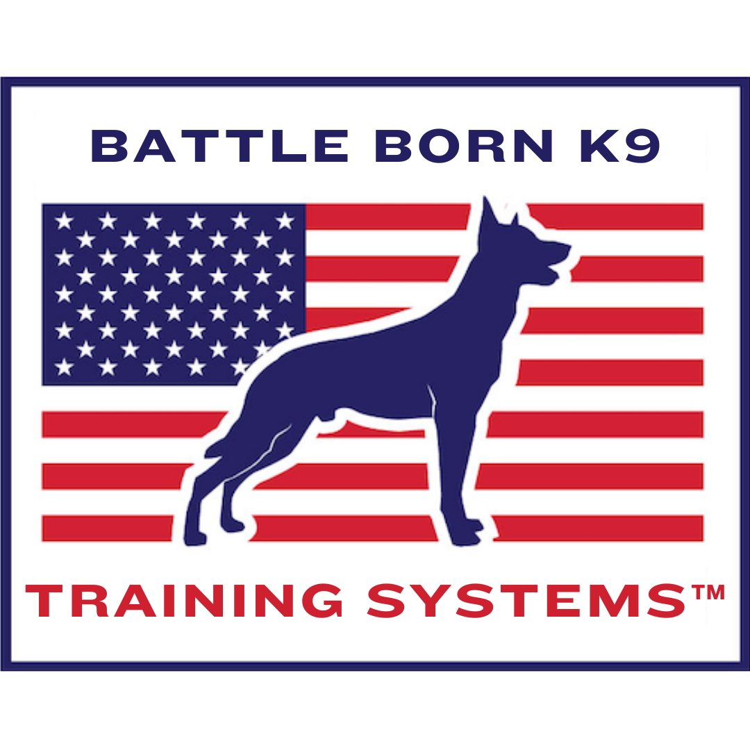 Battle Born K9 TS - Our Philosophy
