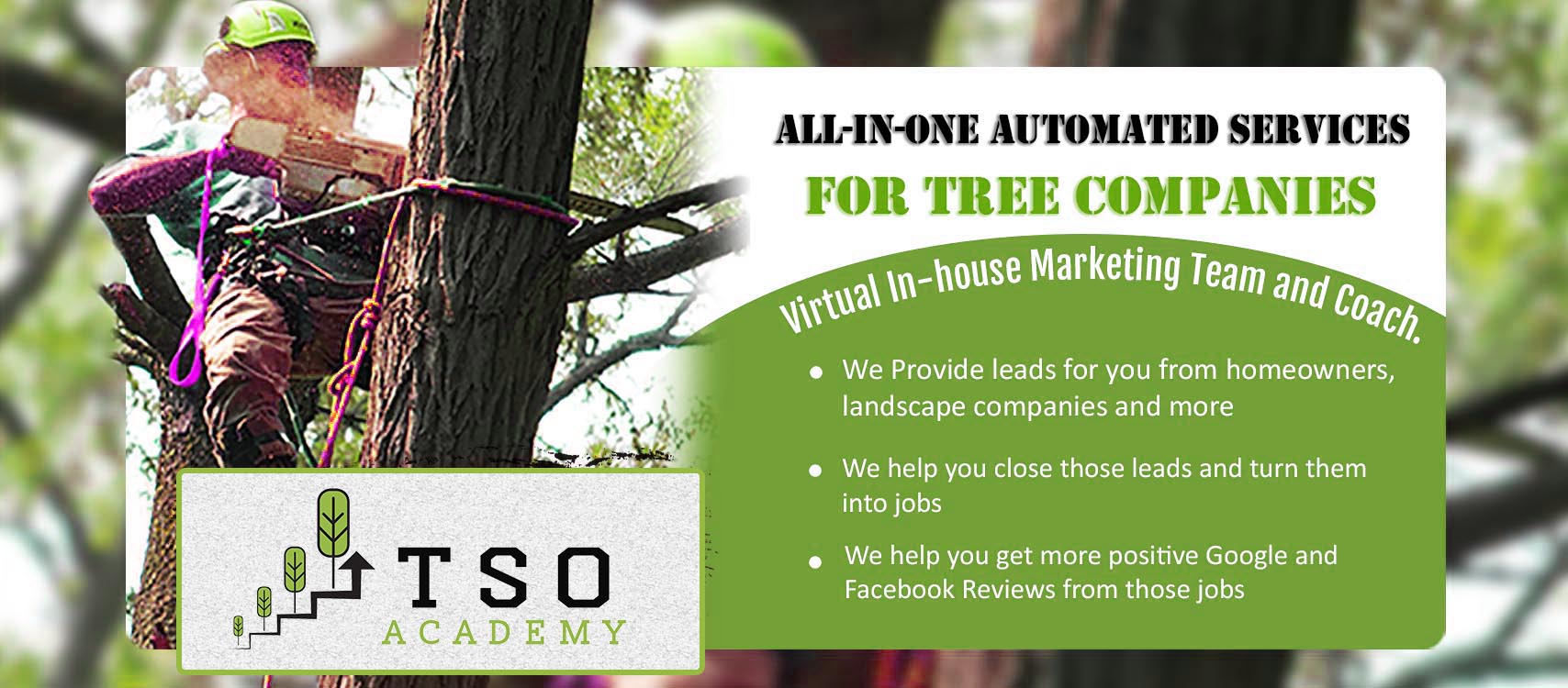 TSO Academy | TSO-Tree Service Owners-Growth & Profit Tips