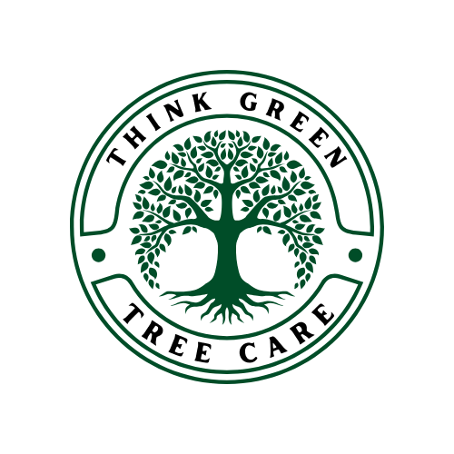 Think Green Tree Care Inc - Los Angeles Tree Service Experts