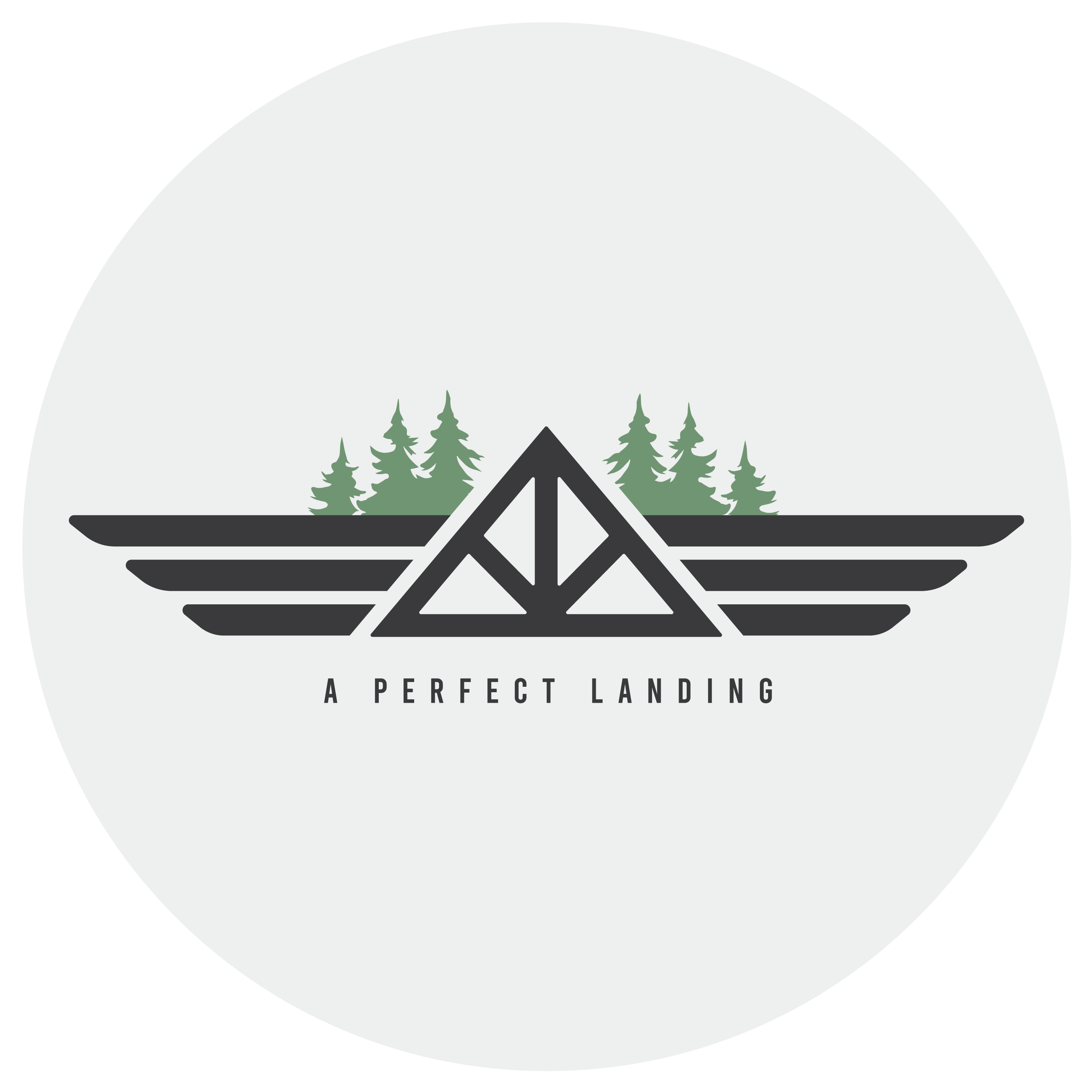 A Perfect Landing Cabin