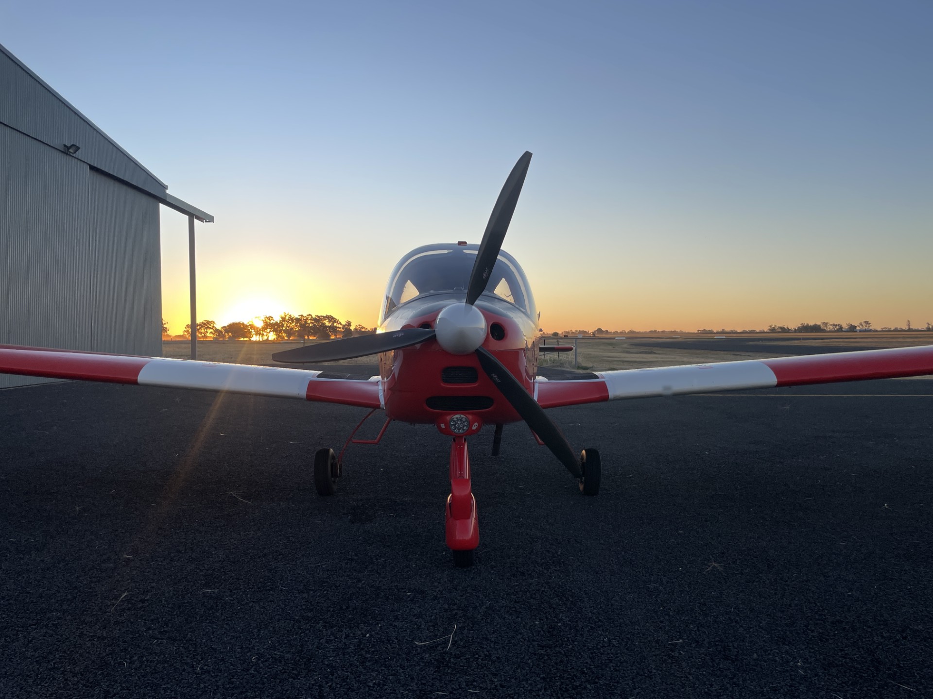 Discover the Joy of Flying