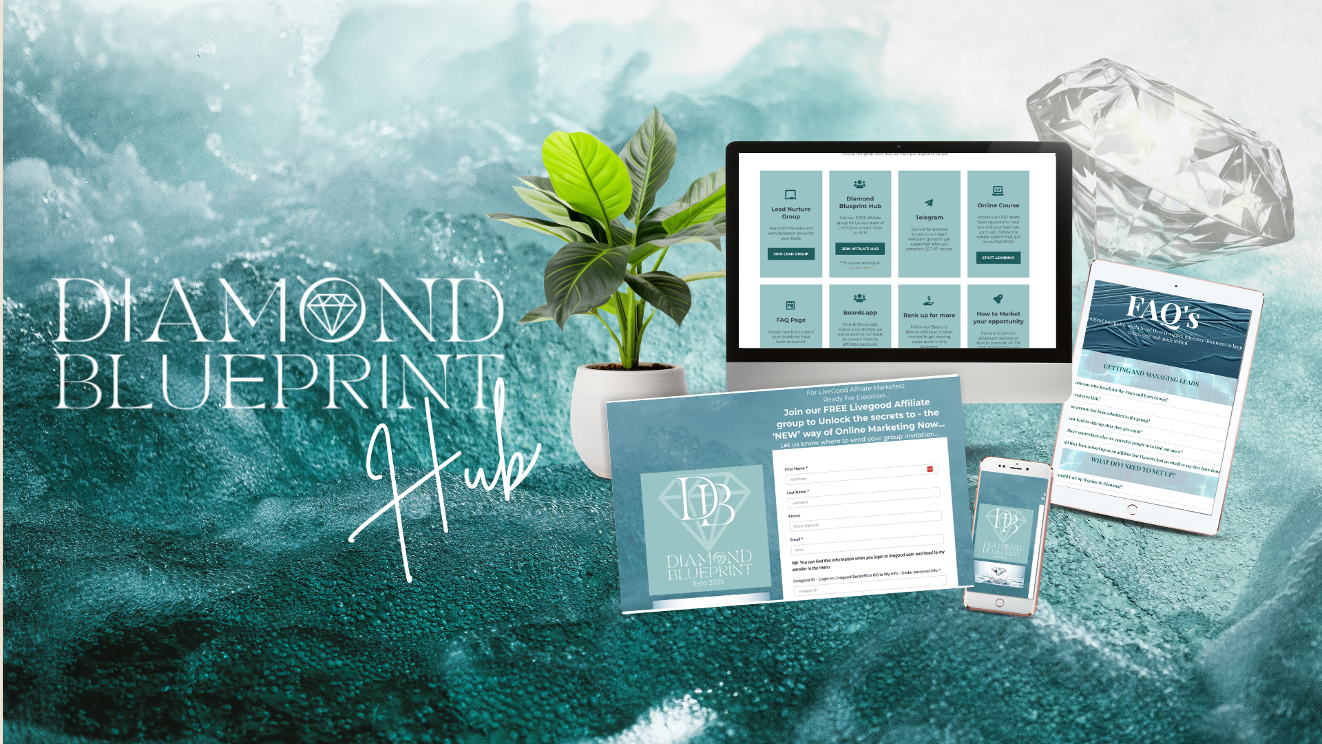 Diamond Blueprint Team Training