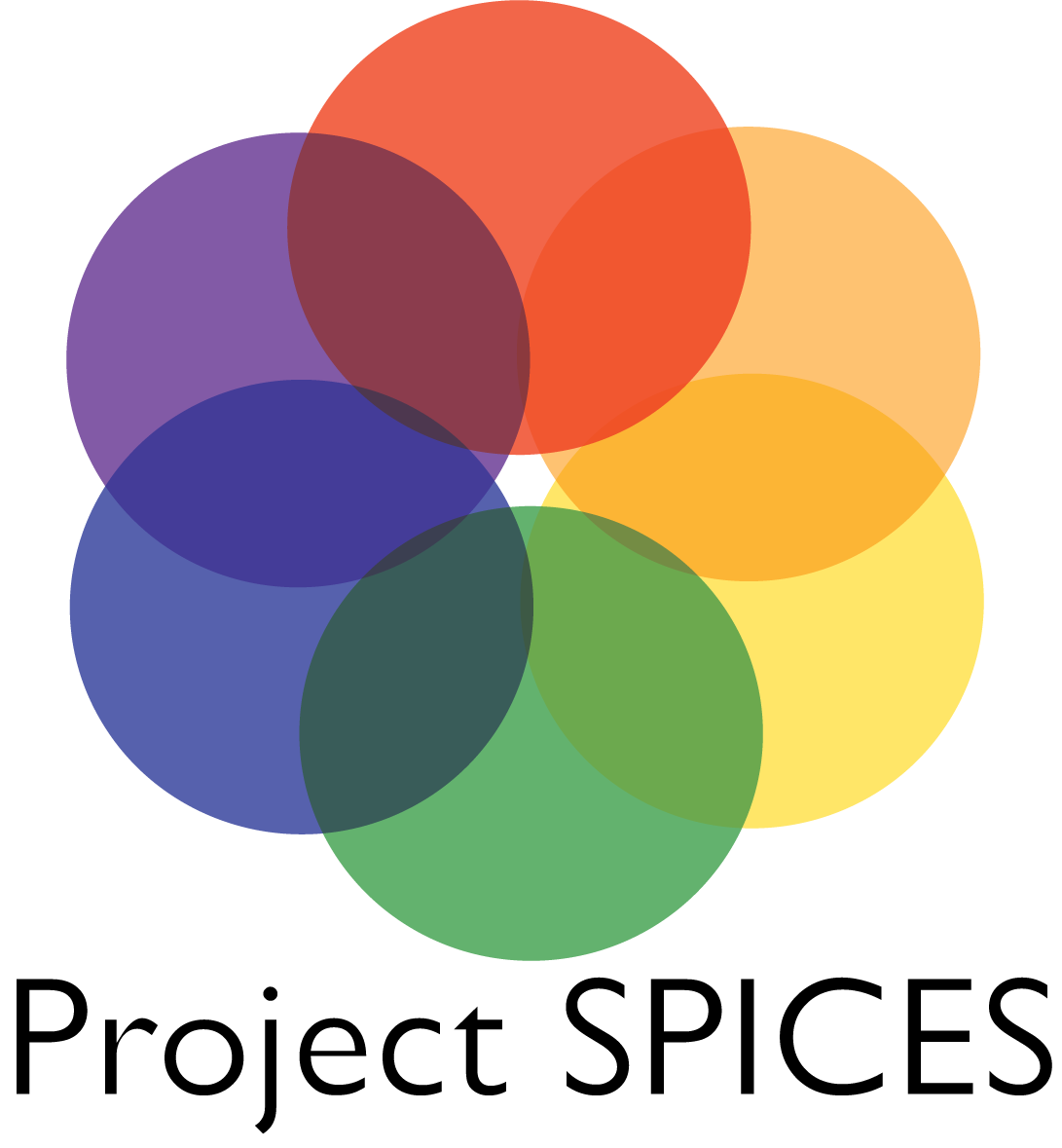Project SPICES™ | Re+Calibrate™ People, Relationships & Teams
