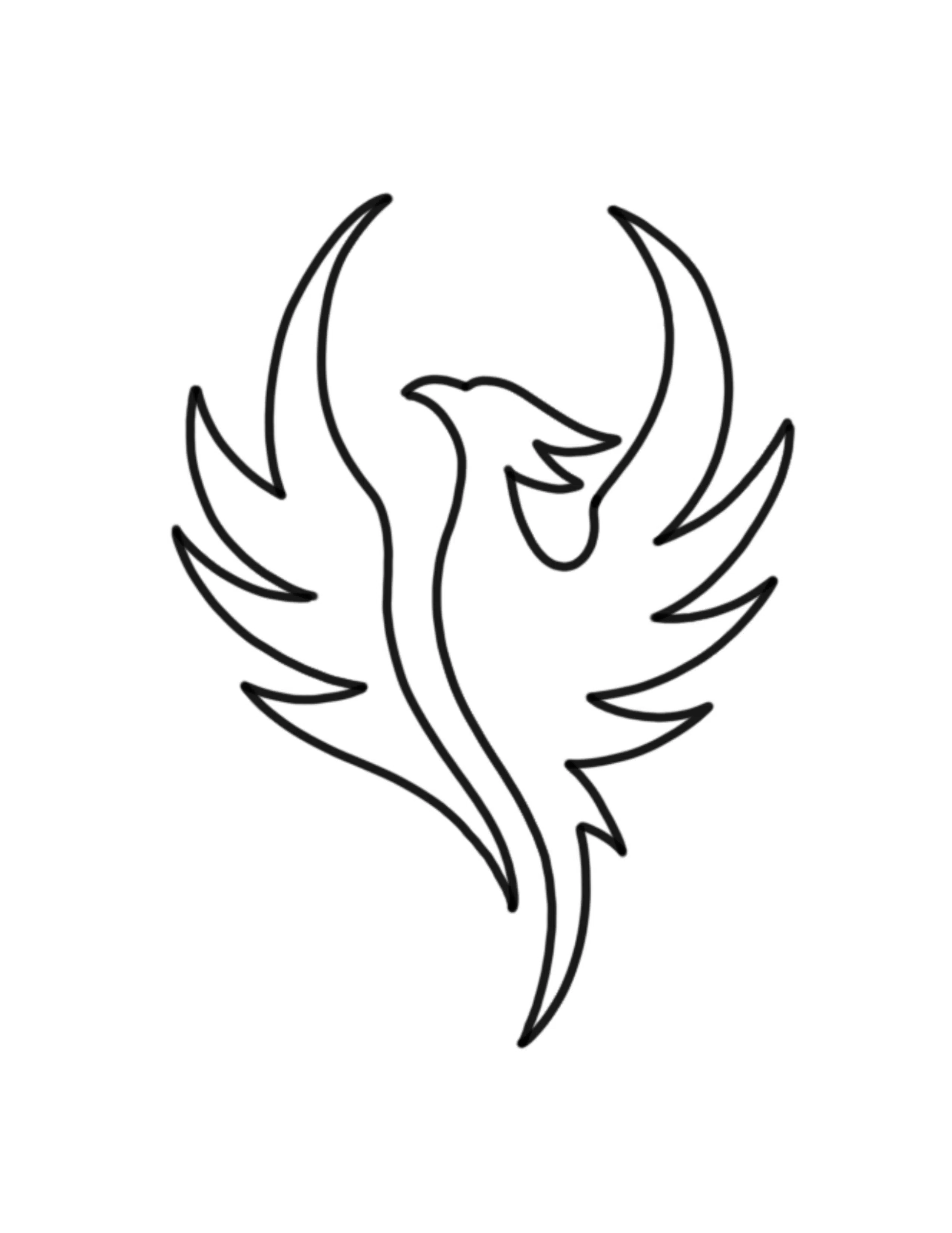 Bird Strength & Fitness/Bird Crossfit