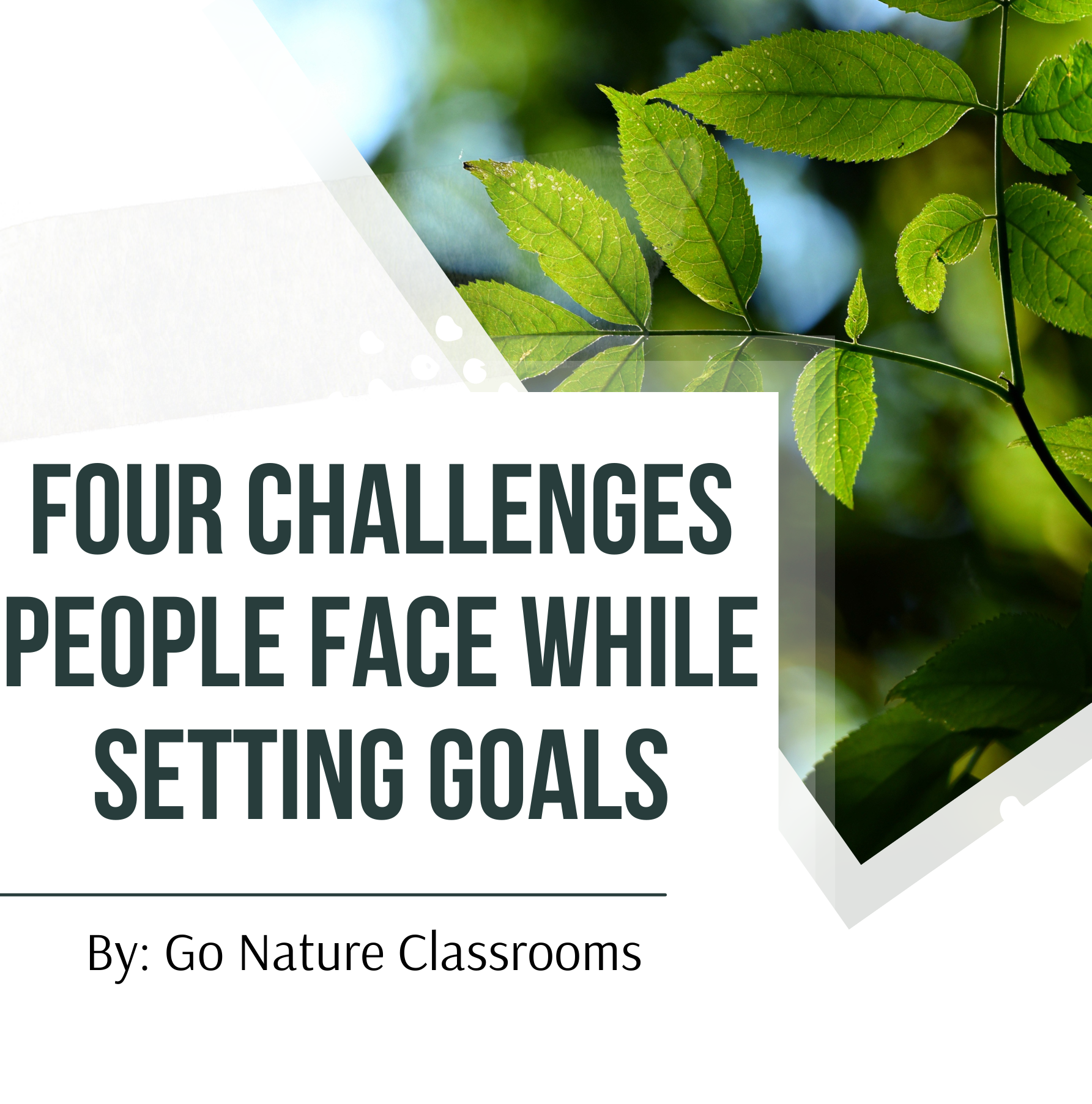 Four Challenges People Face While Setting Goals