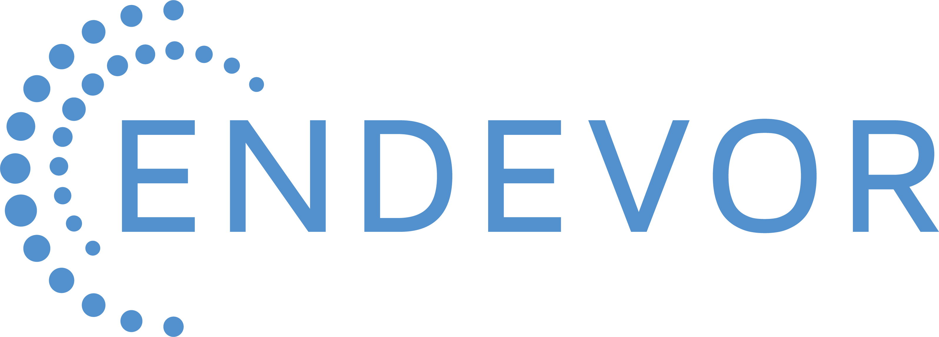Endevor - Products