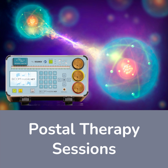 Remote Bioresonance Therapy from Reson8 in Rawdon Leeds UK