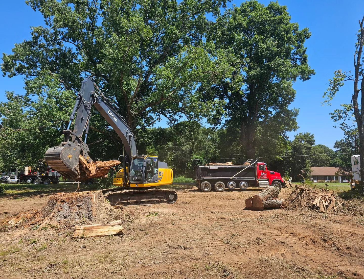 Best & Affordable Tree Removal Services