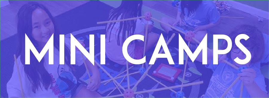 Mini Camps - School Break Camps