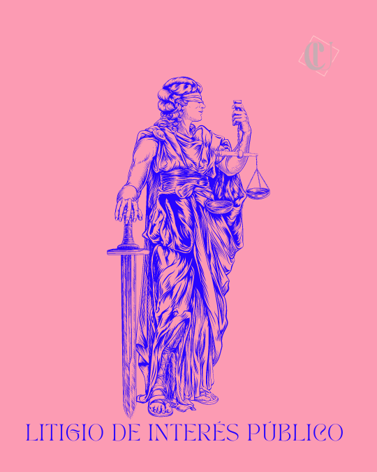 Una aproximación a la definición del litigio de interés público