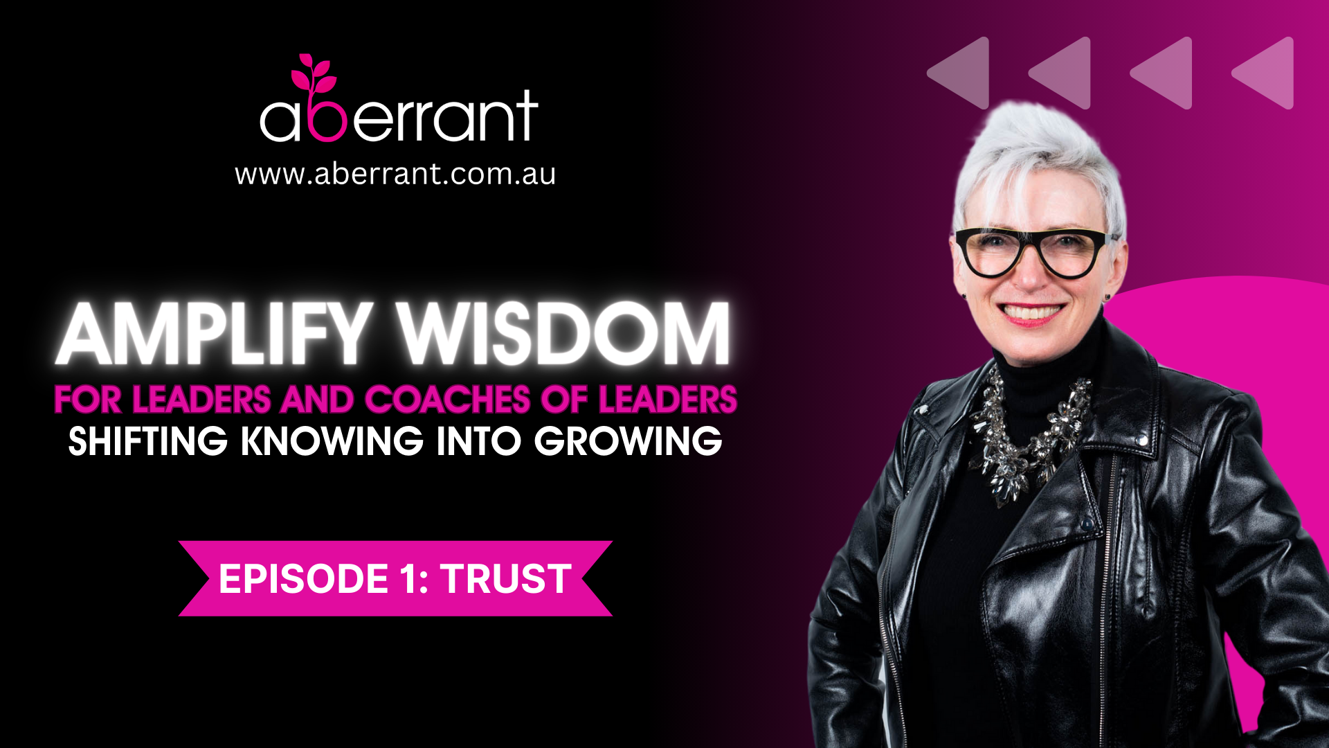 Amplify Wisdom Mini Masterclass Series