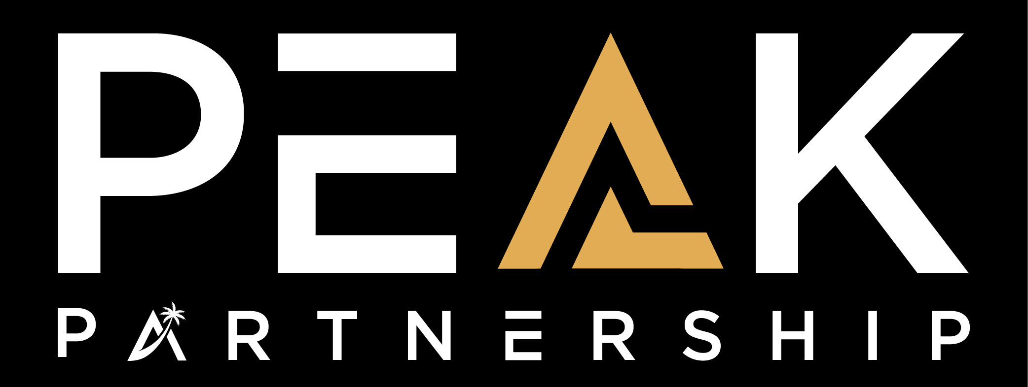 Peak Partnership 2027: Multifamily Investing Event in Salt Lake City, UT