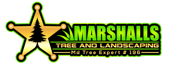 Marshall Tree and Landscaping - Tree Services in Crofton