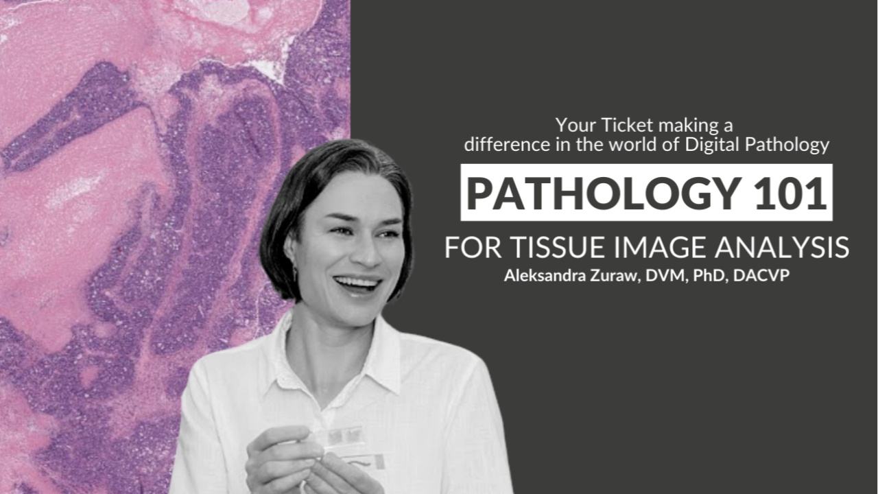 Learn Advanced Pathology Concepts and Understand Tissue in Half the Time!
