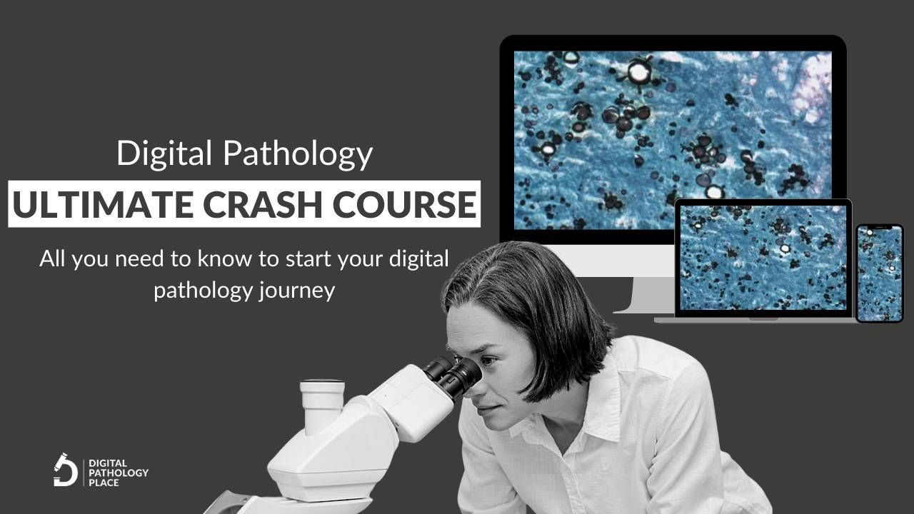 Ultimate Digital Pathology Crash Course