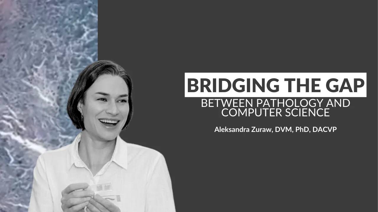 BRIDGING THE GAP BETWEEN PATHOLOGY AND COMPUTER SCIENCE